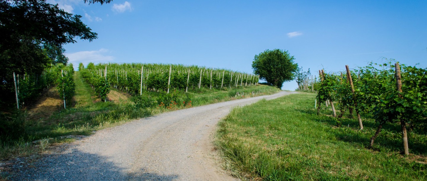 Proiezione del film: Il cammino della via Postumia