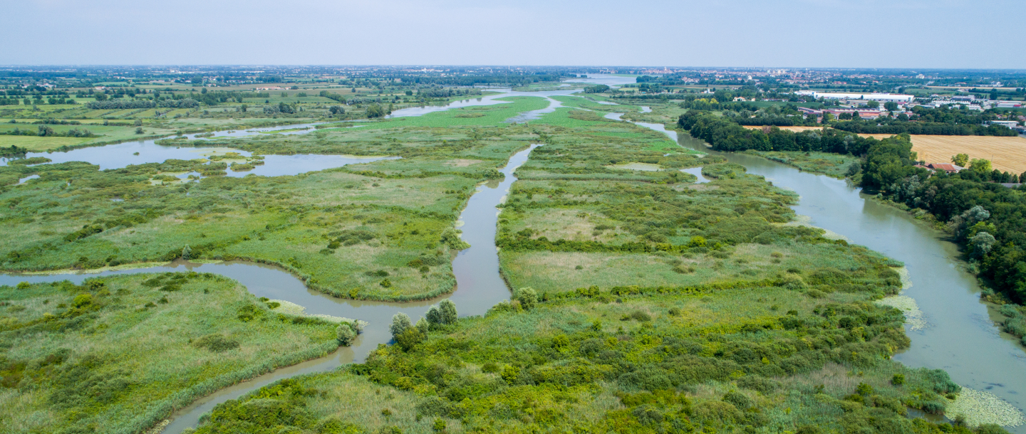 Gite ed Escursioni nel Parco del Mincio: Itinerari a Piedi e in Bici