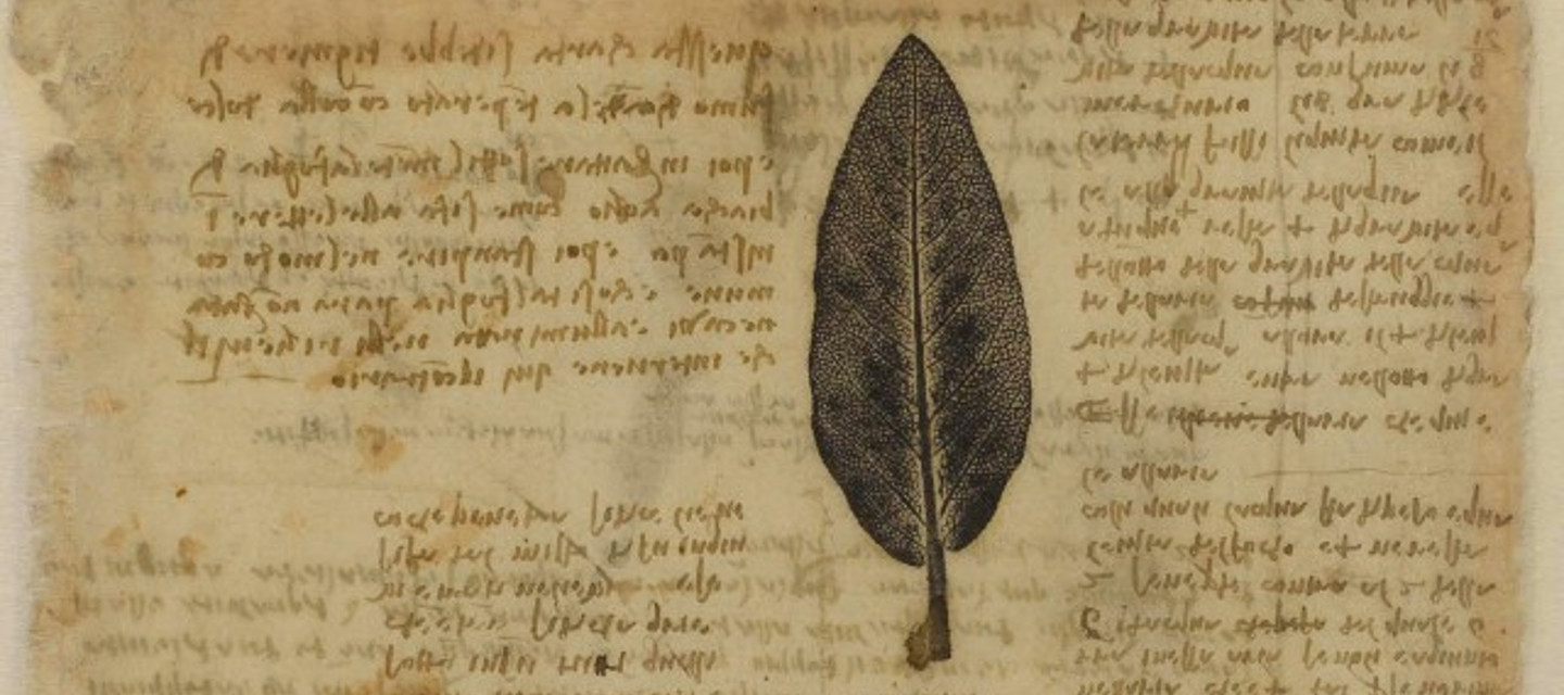 L'ultima Cena di Leonardo da Vinci e il Codice Atlantico