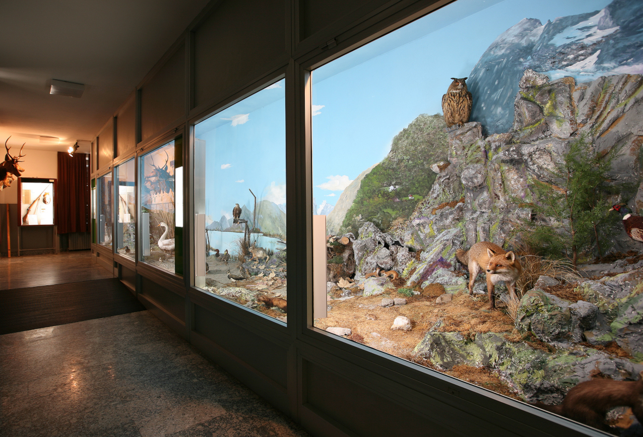 Museo Civico di Storia Naturale
